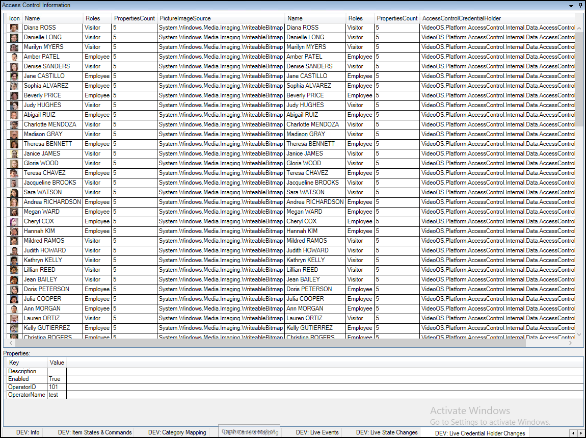 Developer tabs (reference)